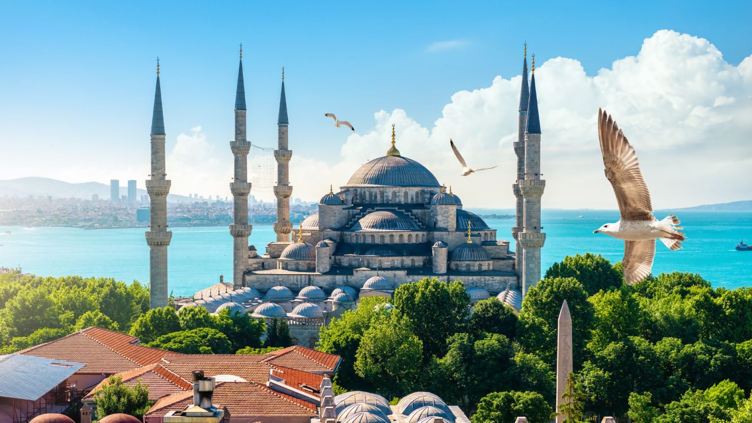 Countries That Allow Dual Citizenship – Full List - Soland